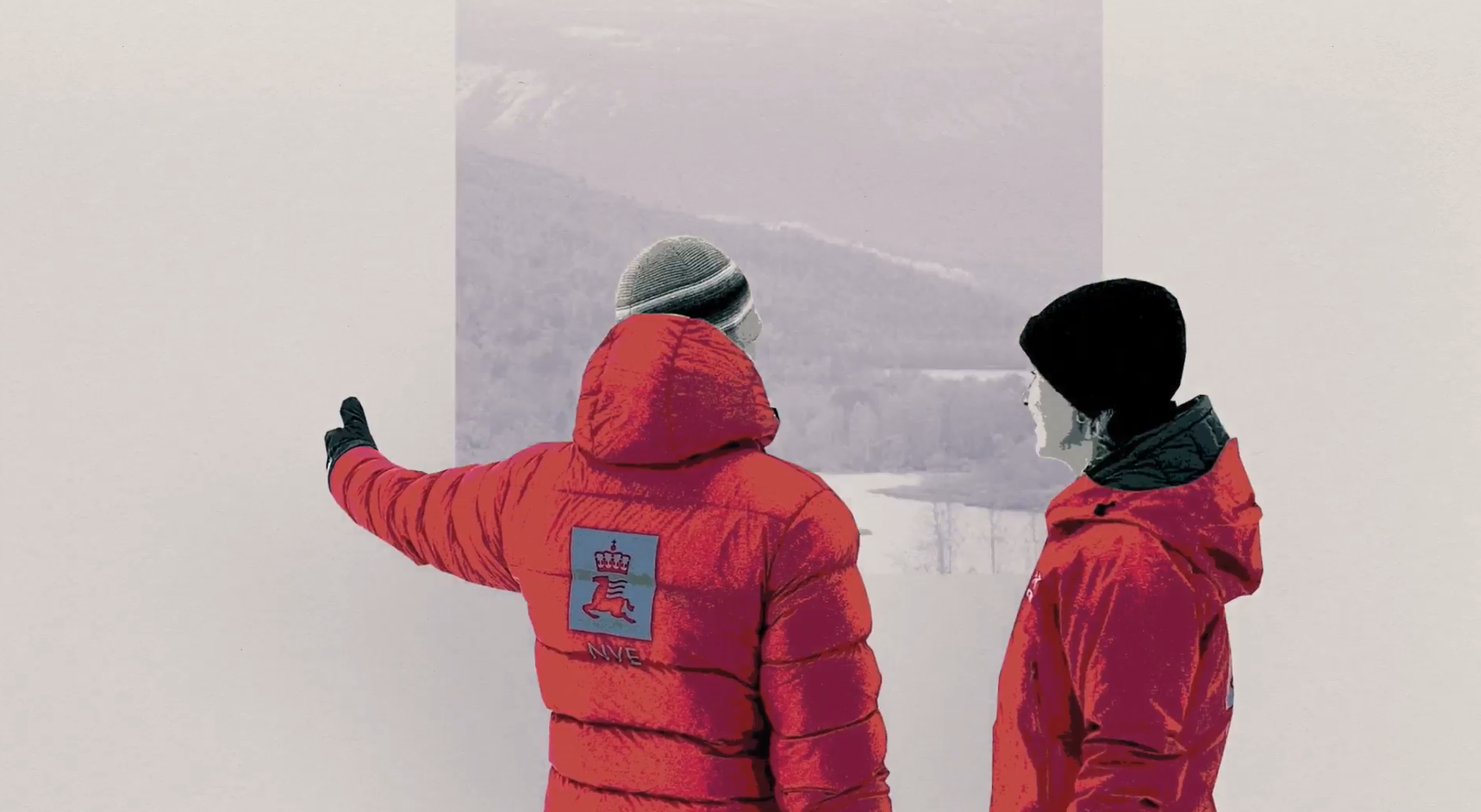 NVE - Norges vassdrags- og energidirektorat