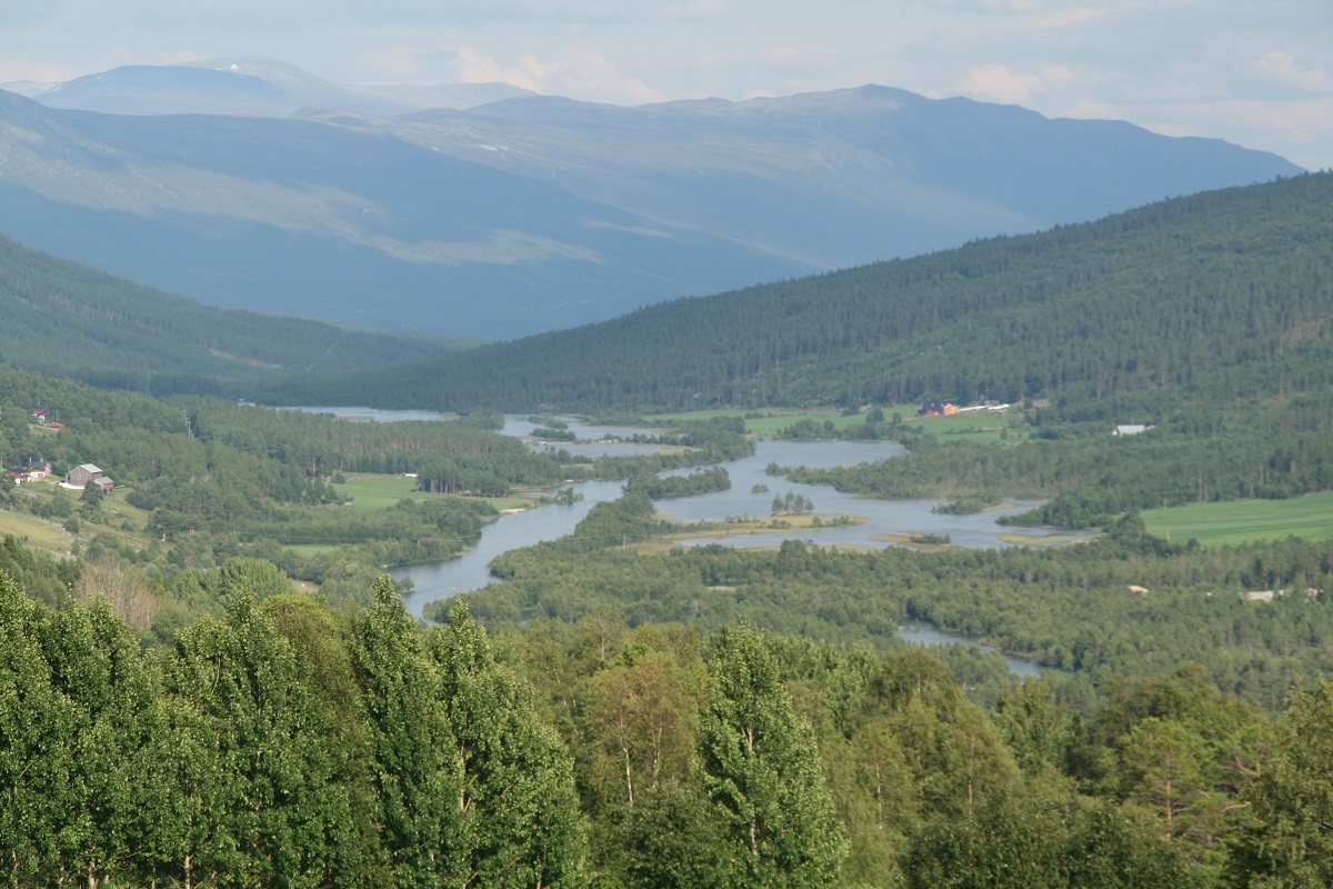 002/12 Ostri med Tundra - NVE