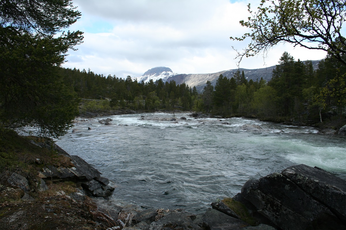 163/1 Saltdalsvassdraget - NVE